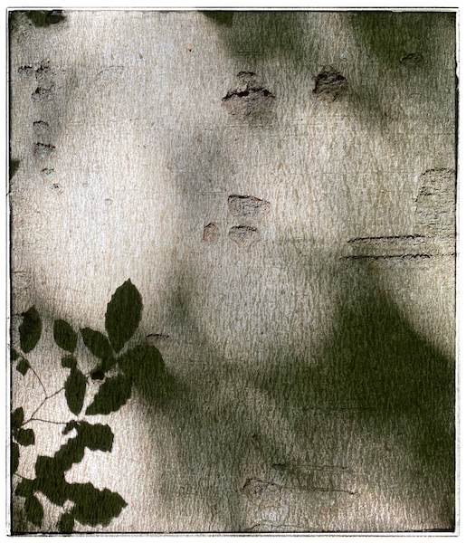 Challenge #16 What is the color of the shadow? (II) - COLOR TIME